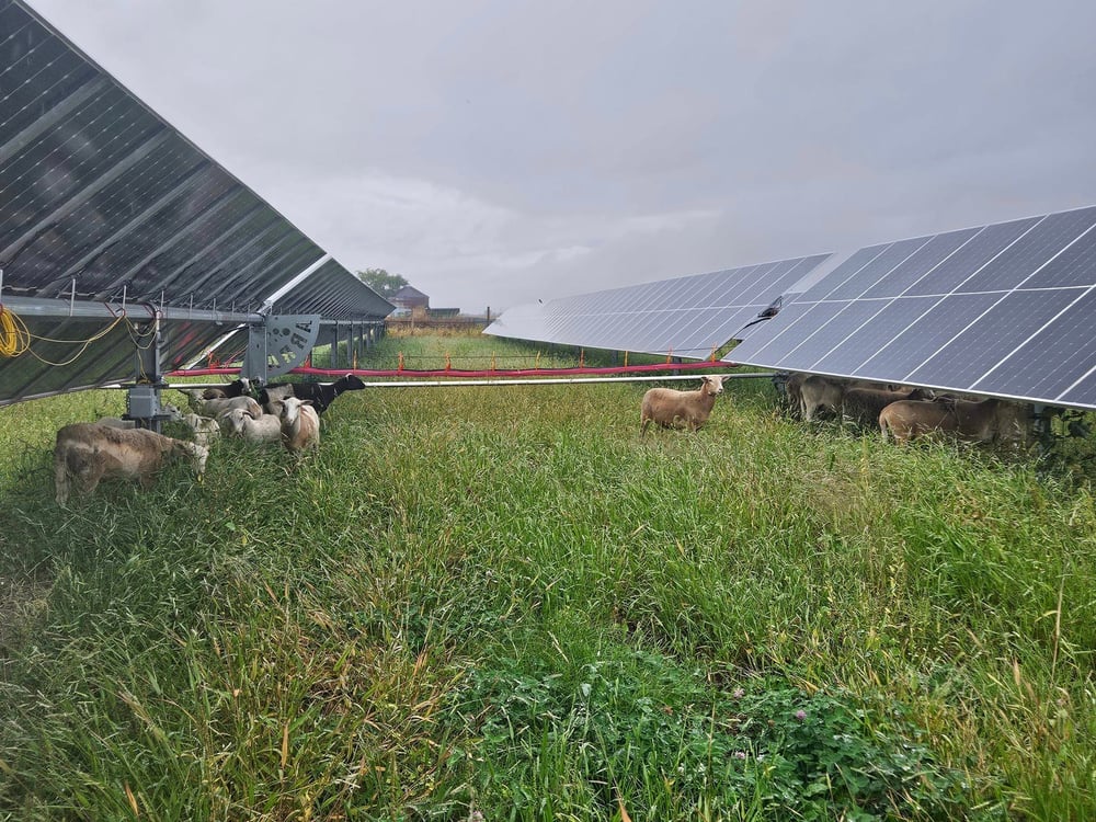 Contact Pivot Energy