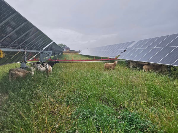 Contact Pivot Energy